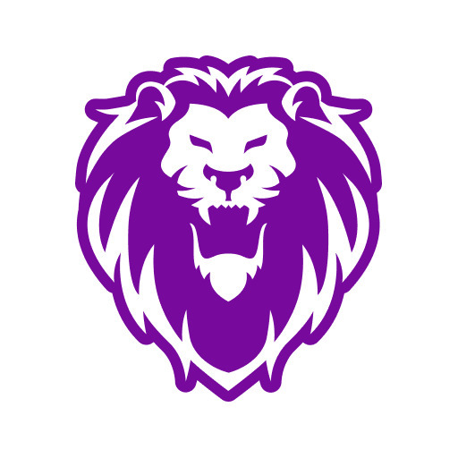 Presentations by Ferocious Digital