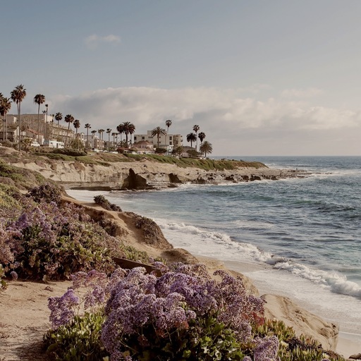 Presentations by George Cacioppo