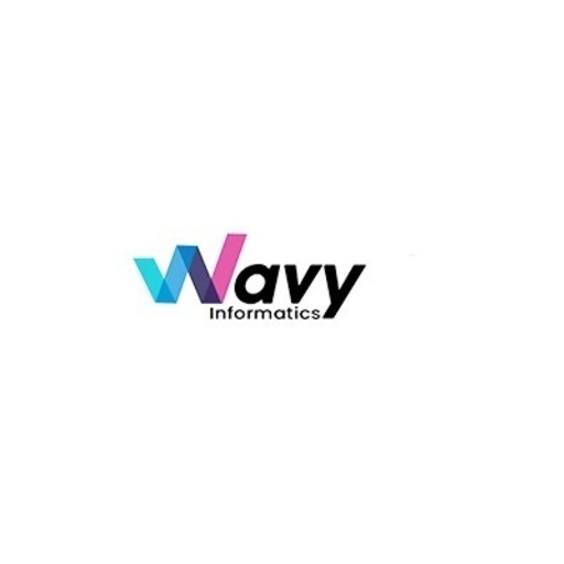 Presentations by Wavy Informatics