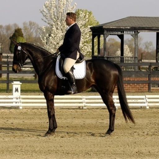 Presentations by Steve Milne Equestrian