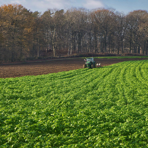 Presentations by Pengusaha Gula Gunawan Jusuf