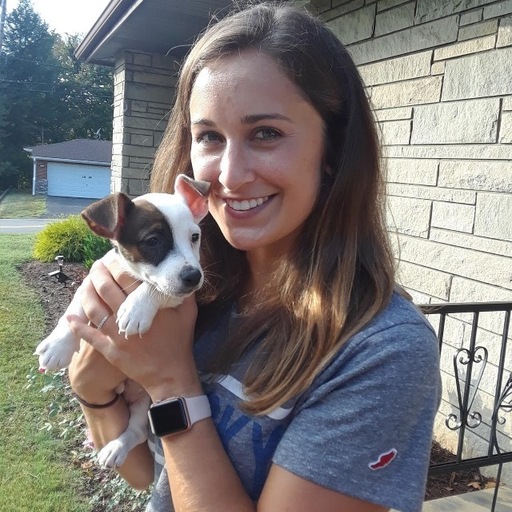 Presentations by Ramsey Bearse