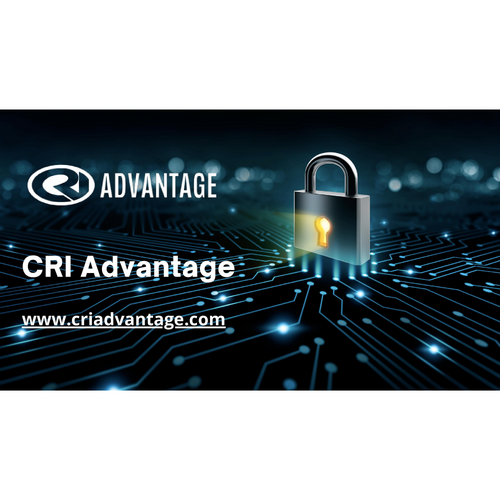 Cybersecurity Boise - CRI Advantage