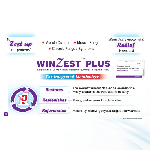 WINZ_GY_Q2_2024