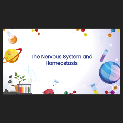 The Nervous System and Homeostasis Biology Int CC MYP