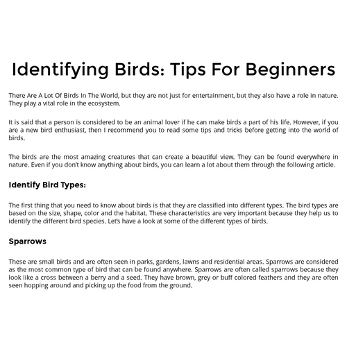 Identifying Birds: Tips For Beginners