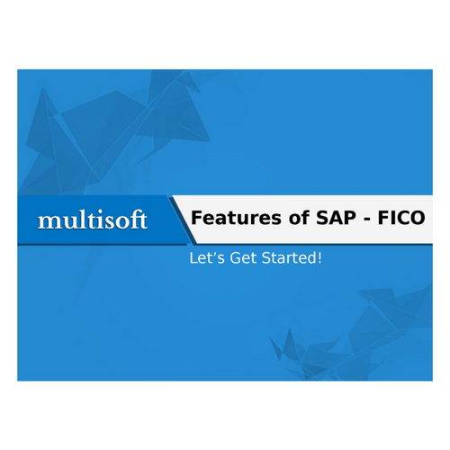 Features of SAP - FICO