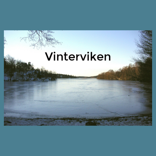 LOS Bokpresentation Vinterviken