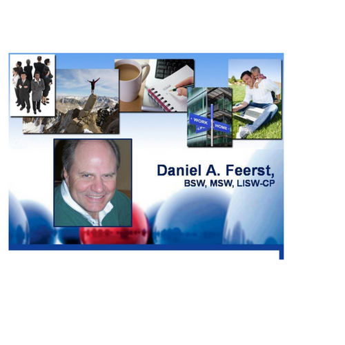 Daniel Feerst : Professional Experience