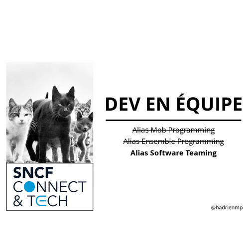 DEV EN ÉQUIPE
