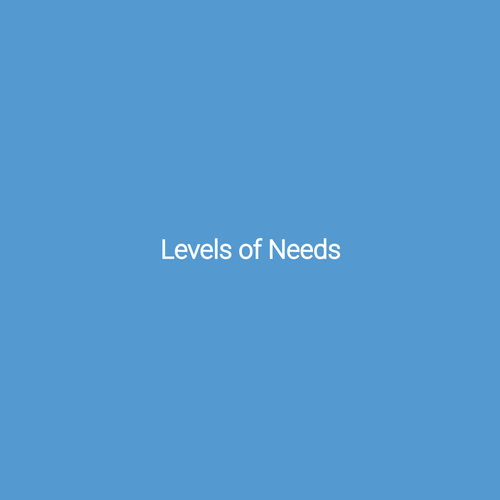 LEVELS OF NEEDS