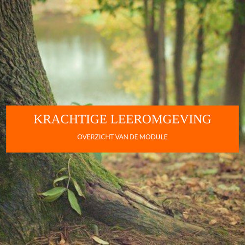 PDF: Overzicht Module Krachtige Leeromgeving