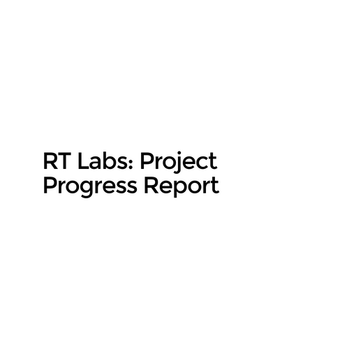 RT Labs: Project Progress Report