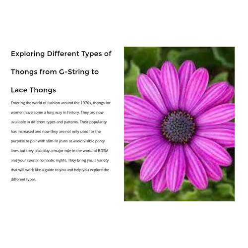 Exploring Different Types of Thongs from G-String to Lace Thongs