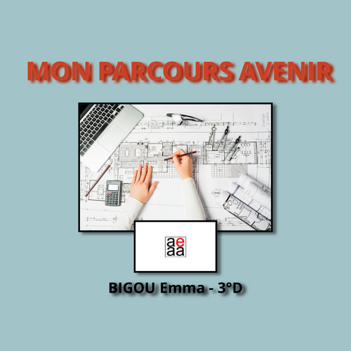 Copy of PARCOURS AVENIR 2023 - à compléter