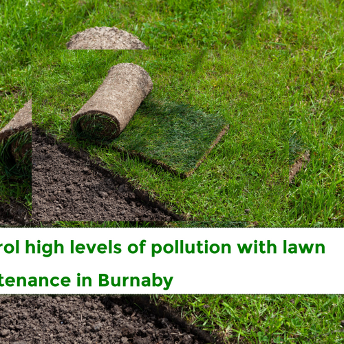 Control high levels of pollution with lawn maintenance in Burnaby