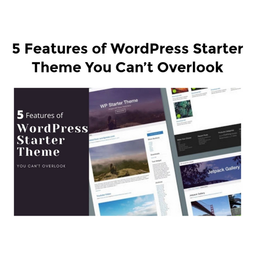 5 Features of WordPress Starter Theme You Can’t Overlook