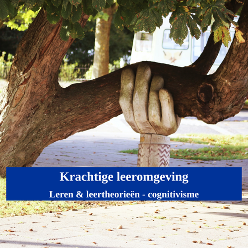 2022-2023 Leren en leertheorieën - Cognitivisme