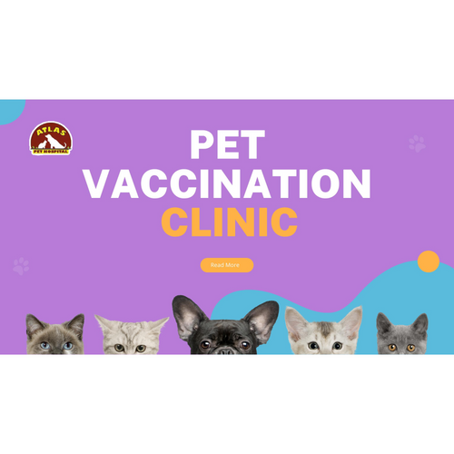 Pet Vaccination Clinic - Atlas Pet Hospital