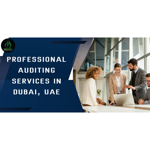 Professional Auditing Services In Dubai, UAE