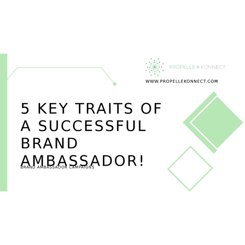 Brand Ambassador Campaigns