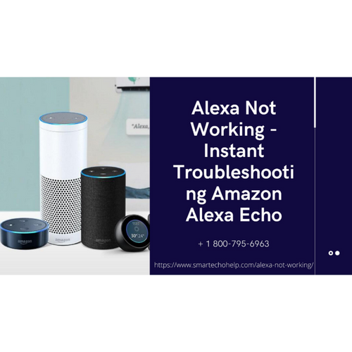 Alexa Not Working 1-8007956963 Alexa Not Responding/Device Offline ...