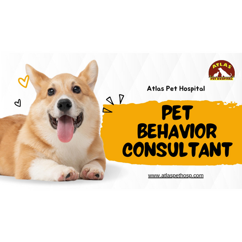 Pet Behavior Consultant - Atlas Pet Hospital