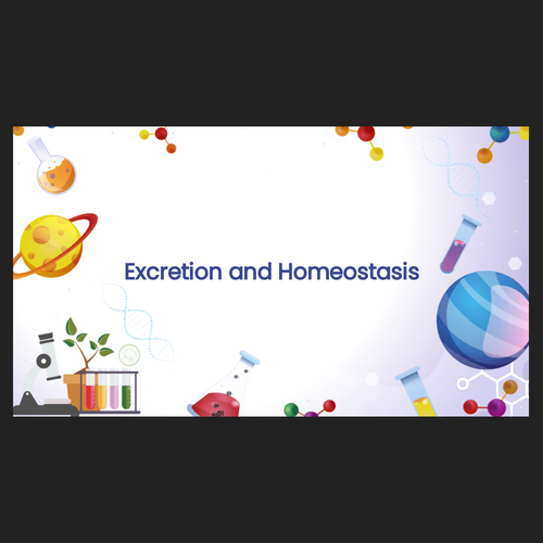 Excretion and Homeostasis Bio Myp CC