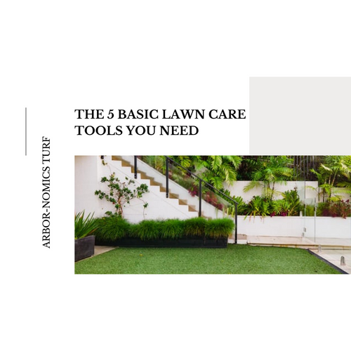 The 5 Basic Lawn Care Tools You Need