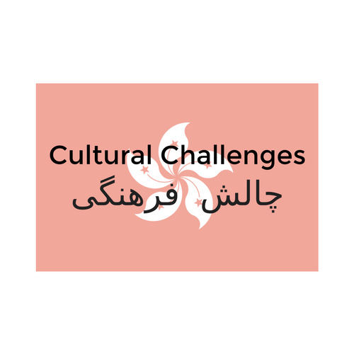 Cultural Challenges