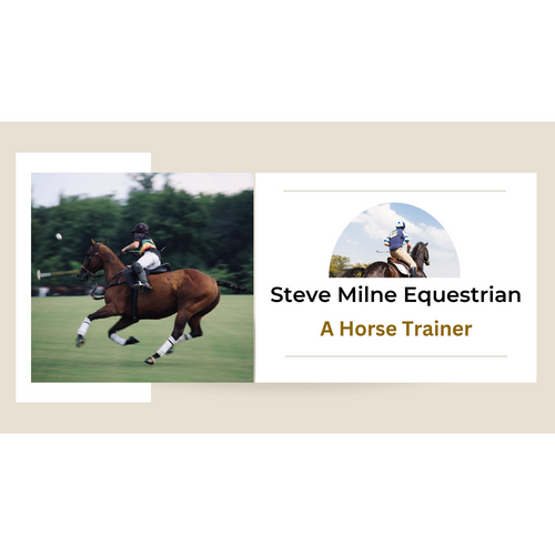 Steve Milne Equestrian - A Horse Trainer