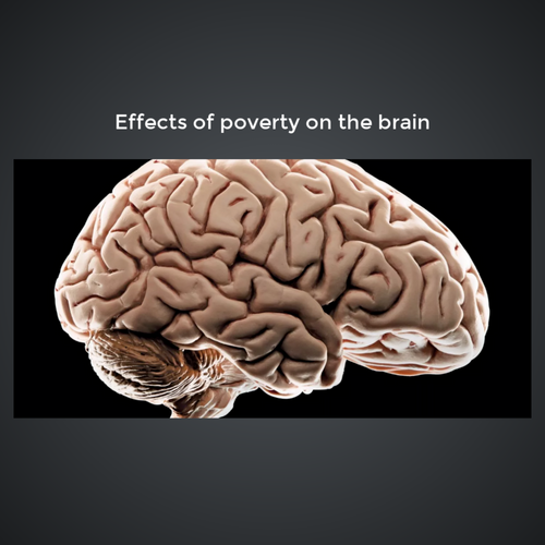 How Poverty Affects the Brain