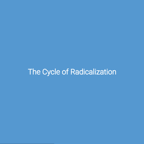 2. THE CYCLE OF RADICALIZATION
