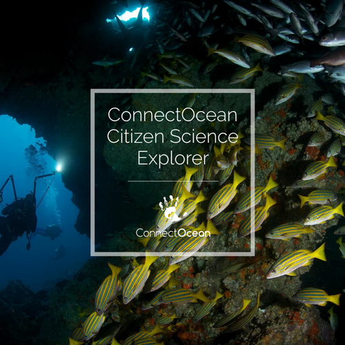ConnectOcean Citizen Science Explorer 2022 Final_12 May