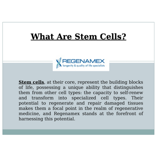 What Are Stem Cells?