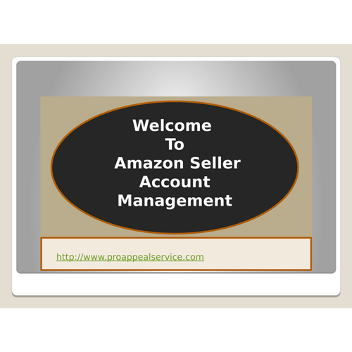Amazon Seller Account Management