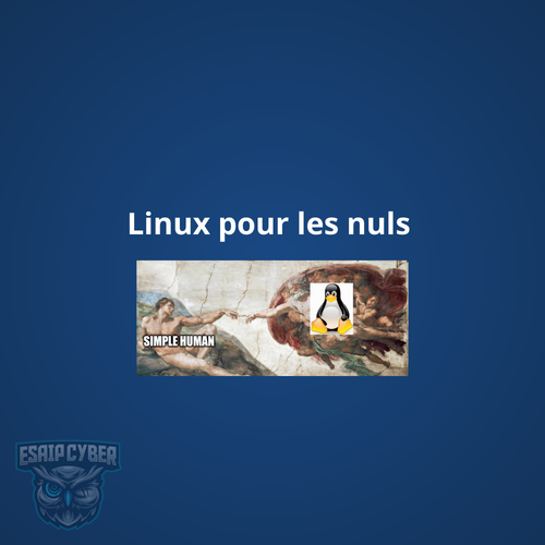 Linux pour les nuls