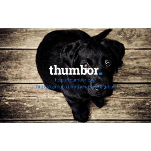Thumbor